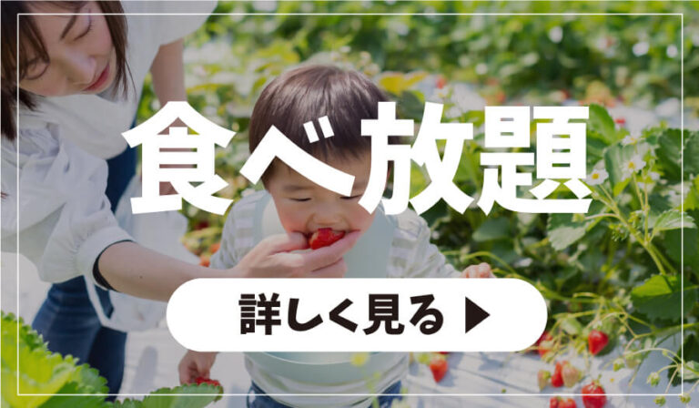 開園情報 | ICHIGO HOUSE.みたか